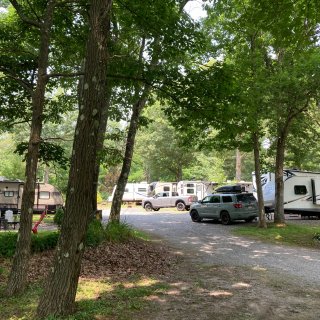 Bumble Bee RV Park and Campground - Accident, Maryland - RV LIFE ...